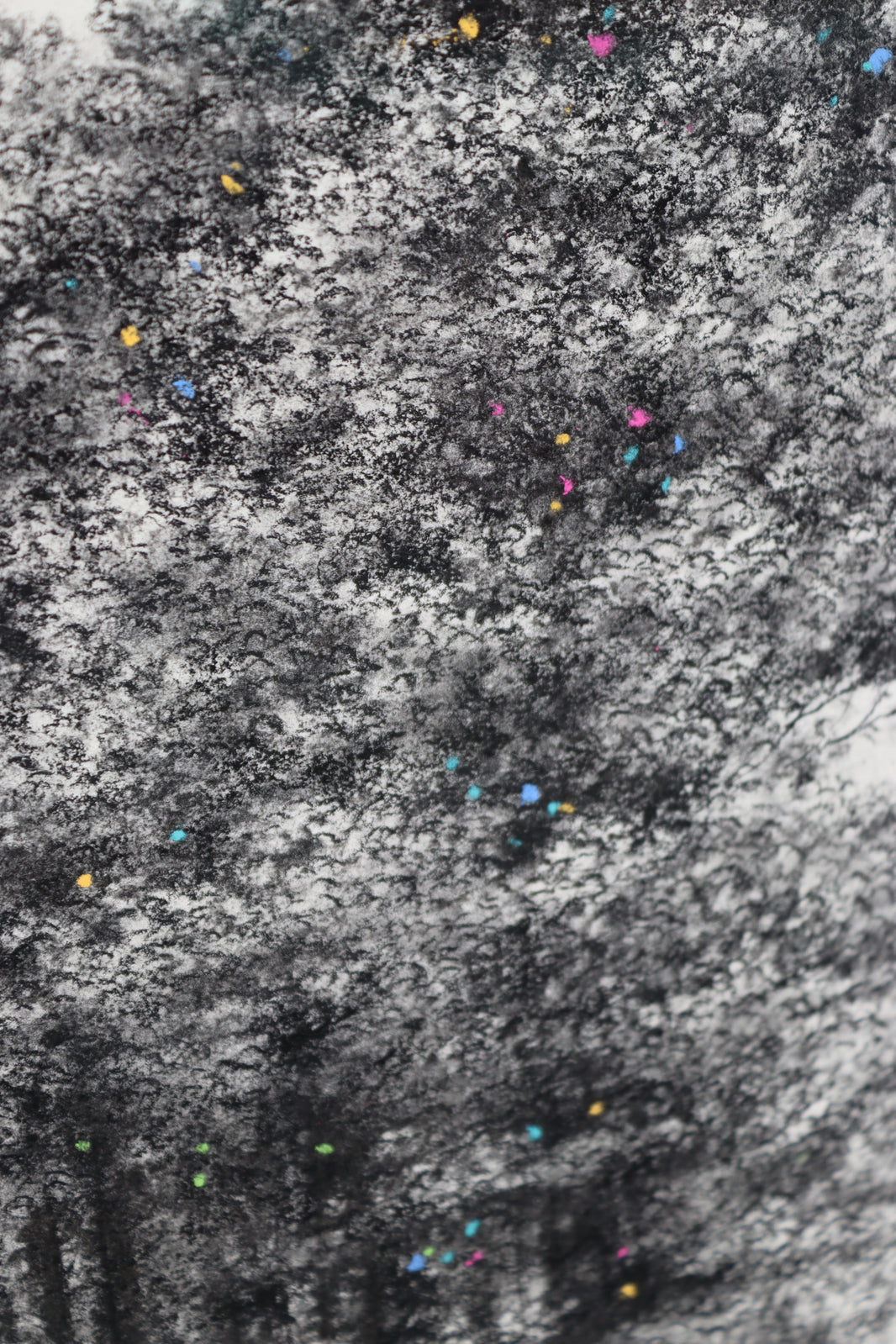 Sorca O'Farrell – Canvas