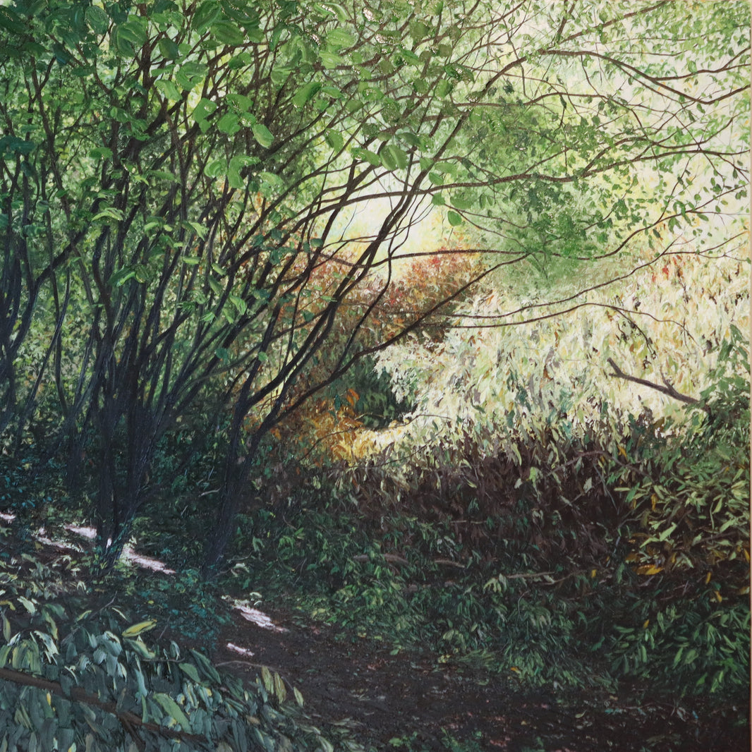 Stephanie Noble – Canvas