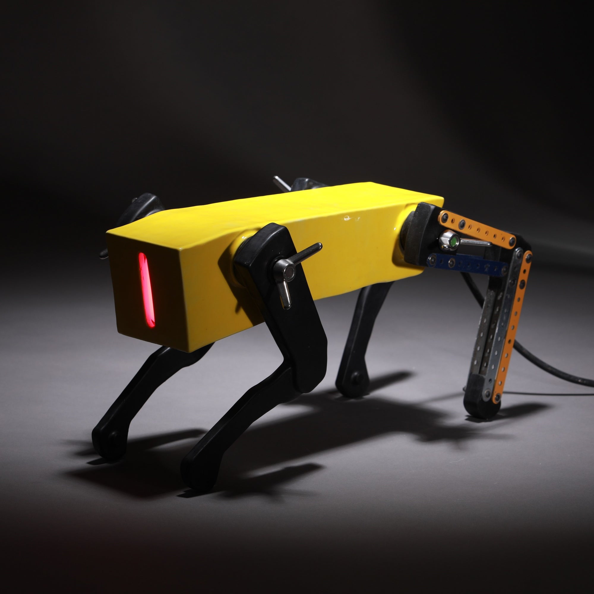 PACK By Patrick Colhoun – Canvas