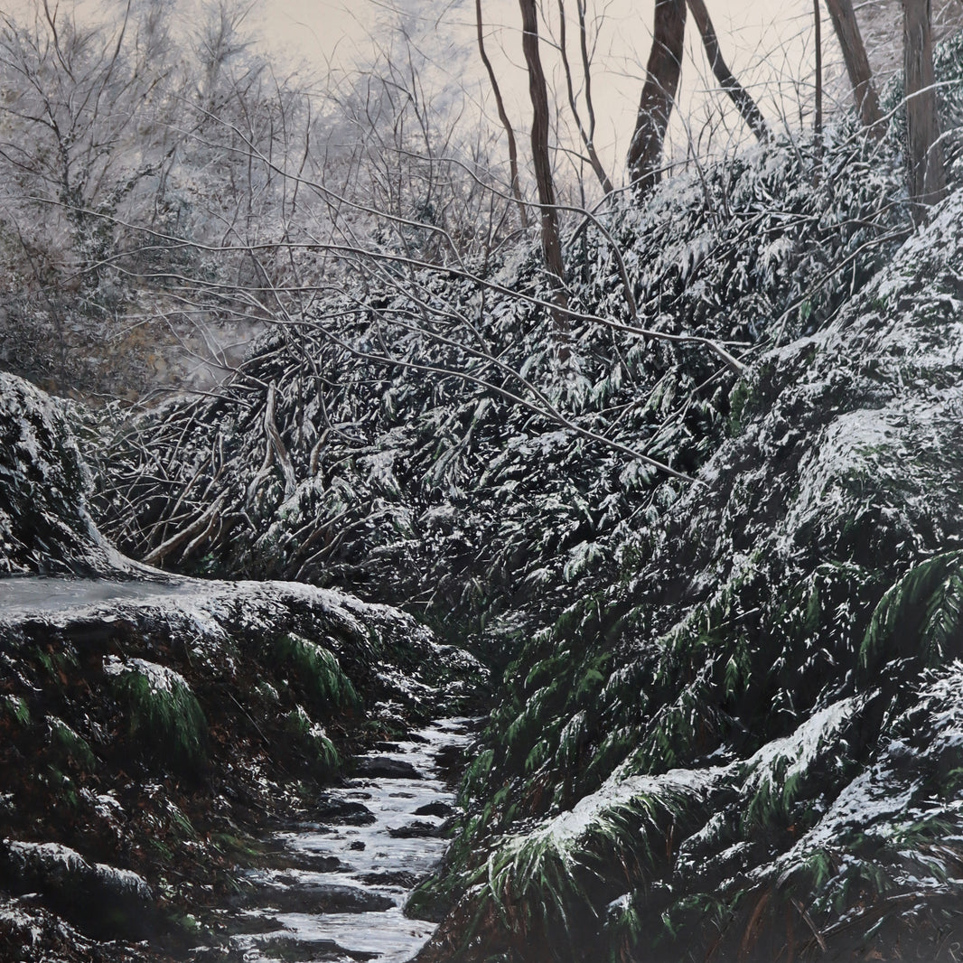 Stephanie Noble – Canvas