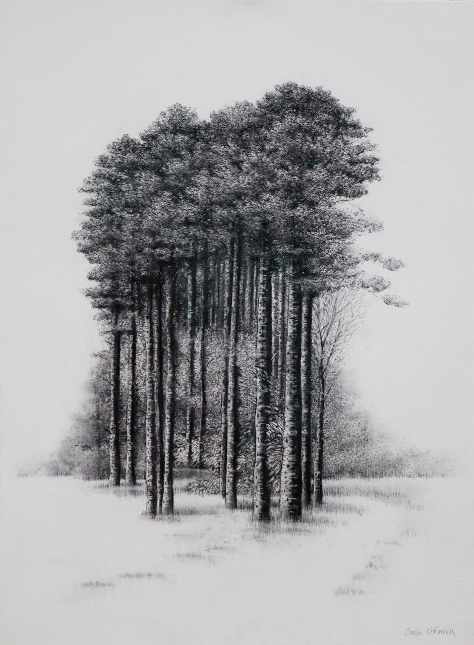 Canvas - Contemporary Art & Framing