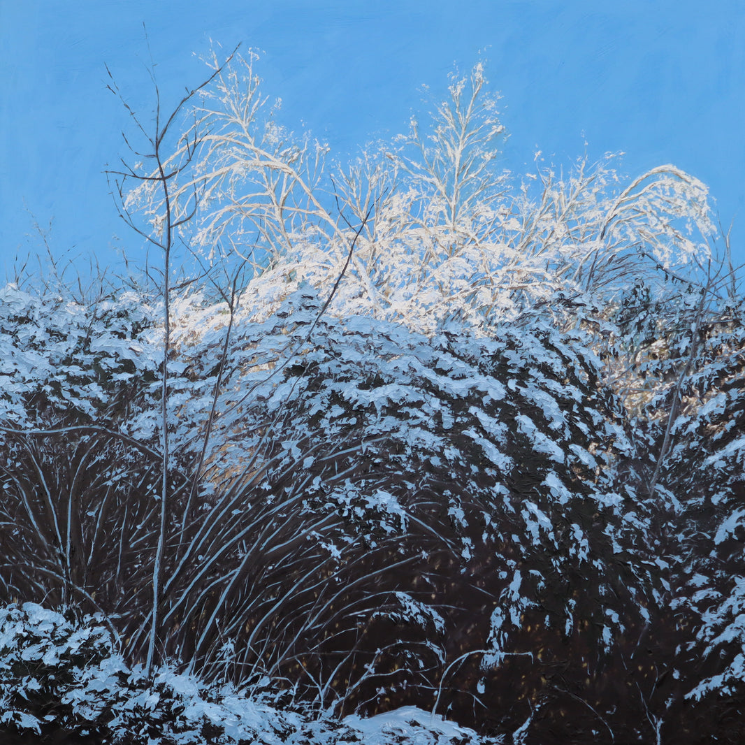 Stephanie Noble – Canvas