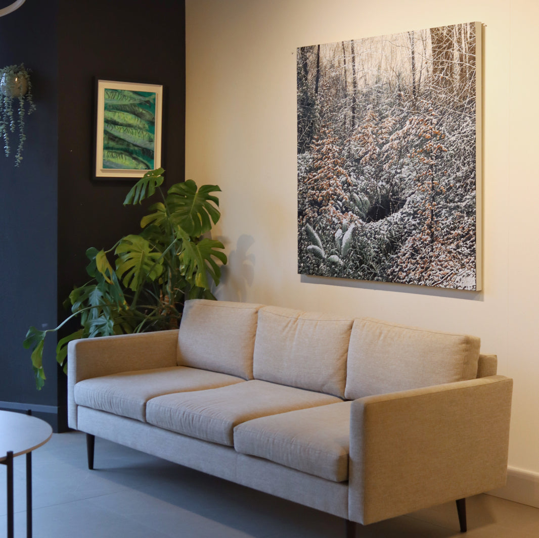 Stephanie Noble – Canvas