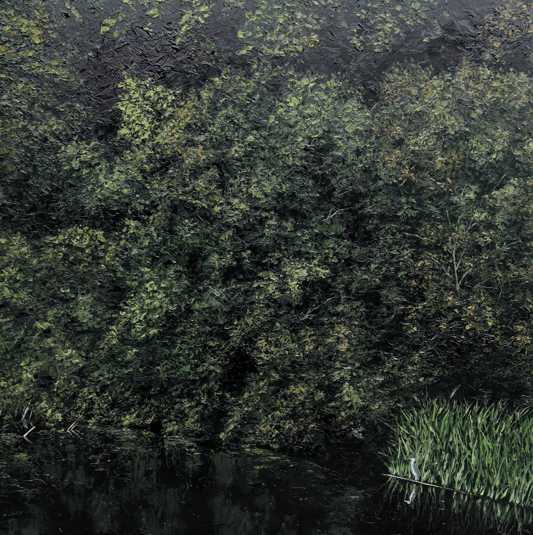 Stephanie Noble – Canvas